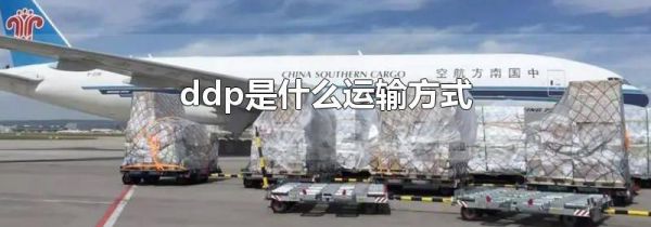 ddp是什么运输方式-生活经验-生活小常识大全